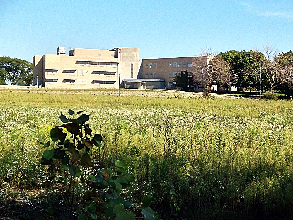 Chicago Beyond the Loop: Part 1 of 4 — Architecture – Chicago Global City